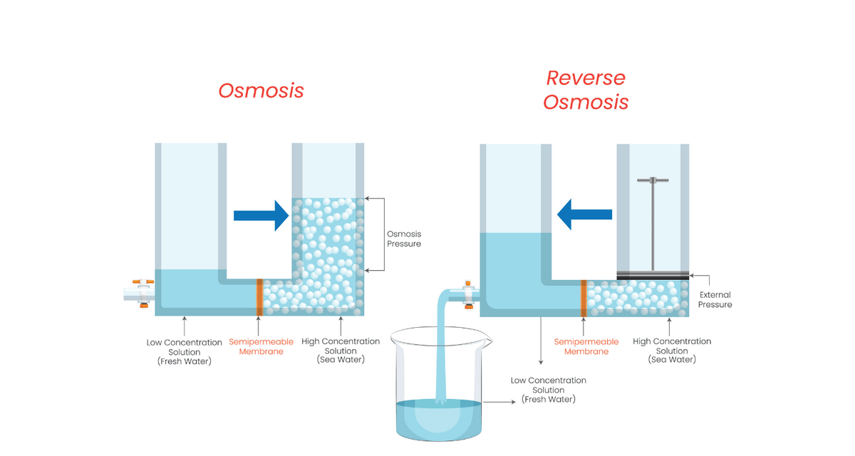 Osmosis vs Reverse Osmosis: Key Differences Explained — Regal Flow